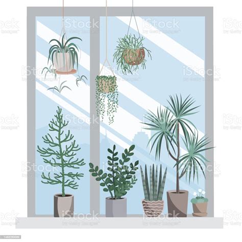 창턱에 집 식물과 관엽 식물이 매달려있는 인테리어 아늑한 집이나 사무실 디자인 요소 플랫 스타일로 분리된 벡터 그림 0명에 대한