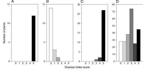 Fusarium Oxysporum Semantic Scholar