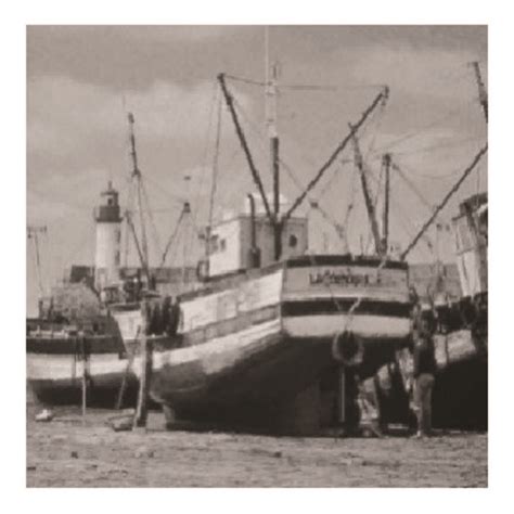 Fingerprinted Decryption Images Using Different L Codebooks A