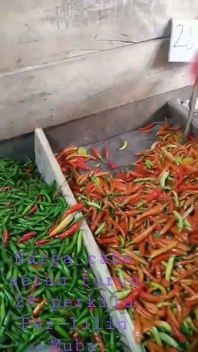 Harga Cabe Setan Pasar Sungai Lilin Muba Sumsel Hari Ini Youtube
