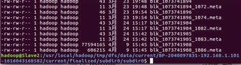Hadoop中hdfs的文件到底存储在集群节点本地文件系统哪里hdfs文件具体放在哪里了 Csdn博客
