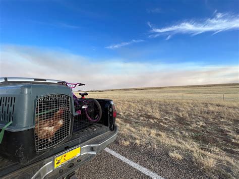 Fema Opens Disaster Recovery Centers In Las Vegas And Glorieta • Source