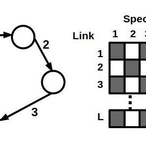 Types Of Fragmentation Cases Download Scientific Diagram