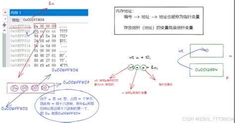 初识c语言：指针 Csdn博客