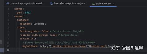用idea 2023创建spring Cloud项目并加入eureka模块 知乎