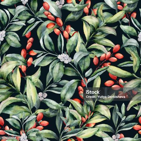 겨울 식물 수채화 패턴입니다 손으로 그린 Snowberry 잎 및 분 지 유 칼 리 나무 매 발톱 나무는 진한 파란색 배경에 고립 직물 배치 디자인에 대 한 휴일 꽃 그림
