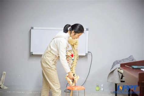 NPPT NPPT初级私人健身教练培训结业考试 正数办公
