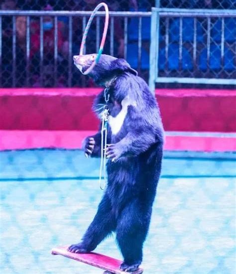西安五一休闲娱乐西安五一休闲娱乐西安五一休闲娱乐 西安夜总会排名 卡优优娱乐