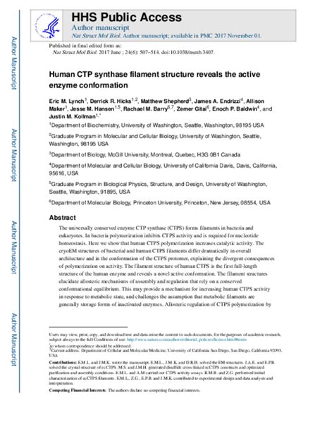 Pdf Human Ctp Synthase Filament Structure Reveals The Active Enzyme Conformation