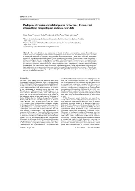 Pdf Phylogeny Of Carpha And Related Genera Schoeneae Cyperaceae