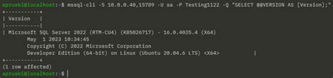 Using Secrets In Docker Swarm For Sql Server Dba From The Cold