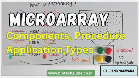 microarray explained from a to z principle components types and applications biotech guide 🚀