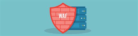 Everything You Need To Know About Web Application Firewalls WAFs