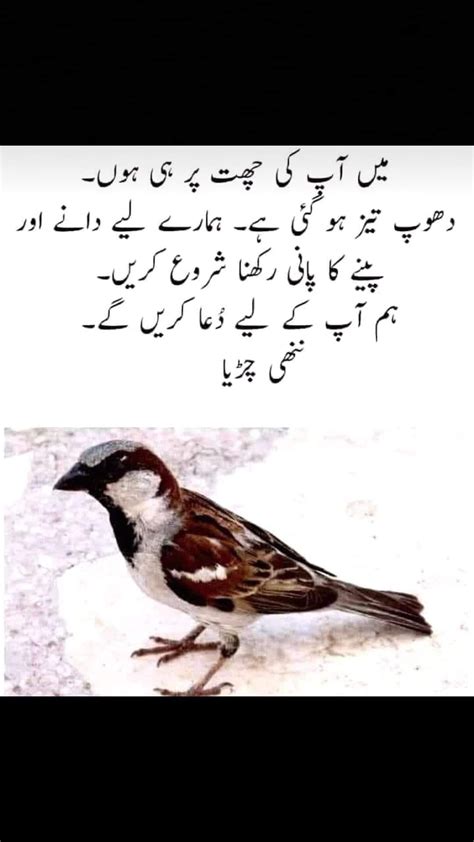Syed Murtaza Ali Shah Posted On Linkedin