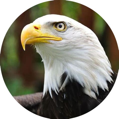 Lunapic Free Online Photo Editor Crop Circle