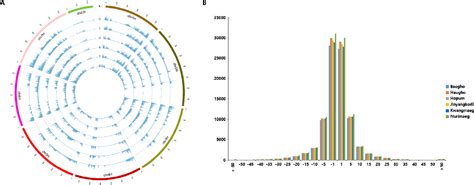 Table 1 From Utilization Of Whole Genome Re Sequencing For Large Indel