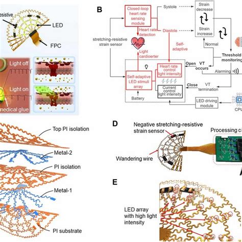 Design And Fabrication Of Closed Loop Self Adaptive Optogenetics System