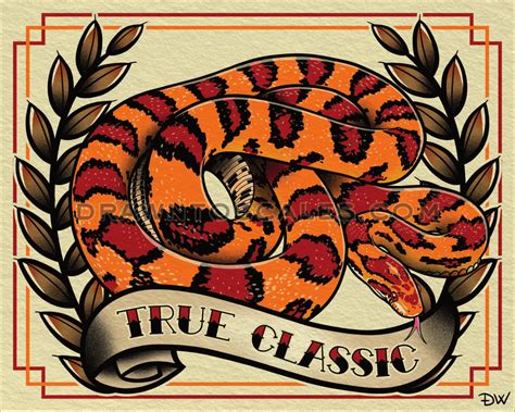 True Classic Cornsnake Print Drawn To Scales