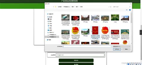 Java计算机毕业设计广发招投标信息管理系统（附源码springboot开题论文部署）idea开发招投标决策管理系统 Csdn博客