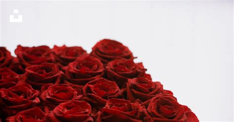 갈색 마분지 상자에 빨간 장미 꽃다발 사진 Unsplash의 무료 증권 시세 표시기 이미지