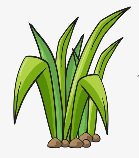 Кусты в 2025 г Посадка деревьев Куст Трава