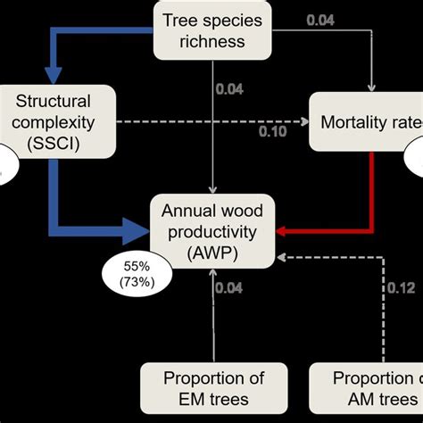 Structural Equation Model Relating Tree Species Richness Structural