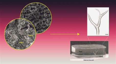 Ice Templating Of Biomimetic Materials Roots In Ceramic Fabrication
