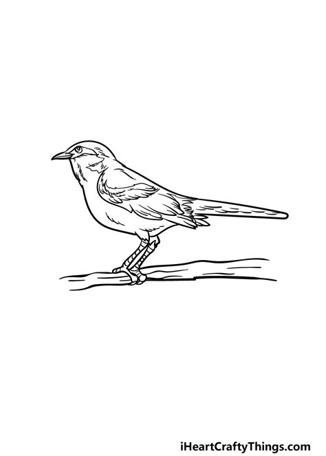 Mockingbird Drawing