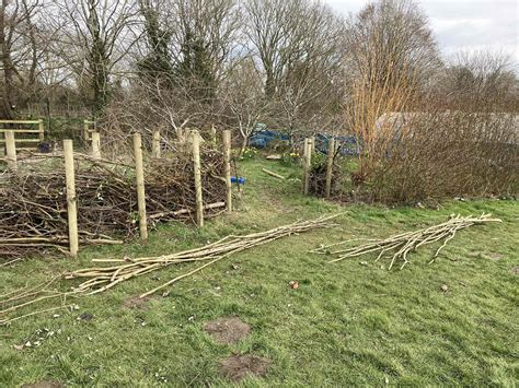 Explore The Naturescape The Nature Effect