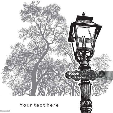 빈티지 가로등 및 나무 실루엣검은 흰색 배경에 고립 된 이미지를 벡터 가로등에 대한 스톡 벡터 아트 및 기타 이미지 가로등 거리 공원 Istock