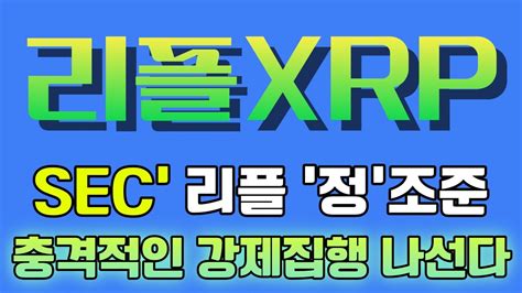 리플 코인 Sec 리플 정조준 충격적인 강제집행에 나선다 Siba Youtube