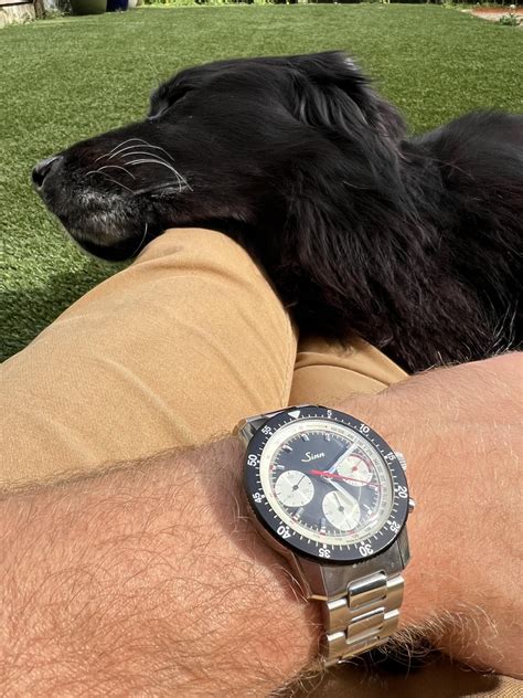 A Man And His Two Reverse Pandas Rsinn