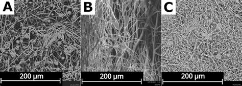 Structures Of Polycaprolactone Substrates From Different Solvents A
