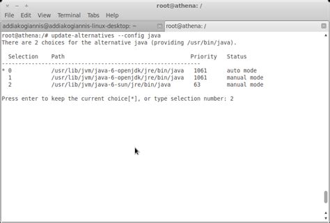 Select Java Ubuntu Jeegr