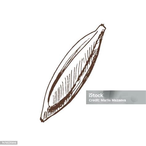 손으로 그린 바나나 스케치 빈티지 그림 낙서 라벨 포장 및 엽서 디자인을위한 요소 0명에 대한 스톡 벡터 아트 및 기타 이미지 0명 건강한 식생활 검은색 Istock