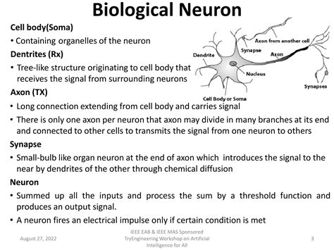 introduction to artificial neural networks part ii pdf