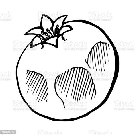 낙서 여름 세트석류 과일 슬라이스의 단일 요소 인사말 카드 포스터 스티커 및 계절 디자인에 대한 손으로 그린 벡터 일러스트레이션 건강한 식생활에 대한 스톡 벡터 아트 및