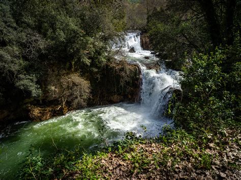 1352 Copying A Camera That Copies Film Dearsusan