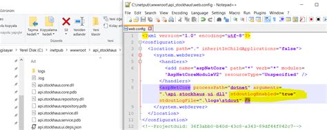 Windows 10da Dotnet Core Projesi Webapi Yayınlama Veritabanı And Yazılım Geliştirme