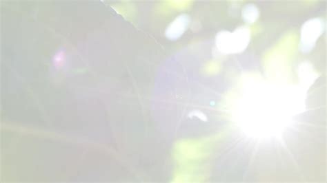 Biobam Bioinformatics On Linkedin Omicsbox Presentation Bioinformatics Made Easy