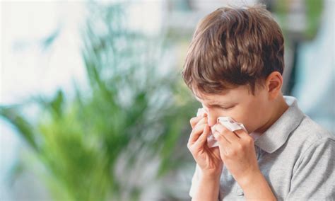 Allergic Rhinitis Greatly Raises Long Term Risk Of Repeat Adenoidectomy