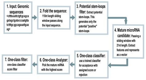 Components Of The One Class Computational Procedure Download