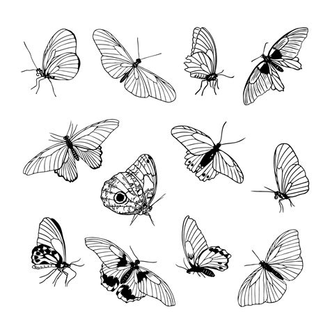 Butterfly Wings Side View Outline