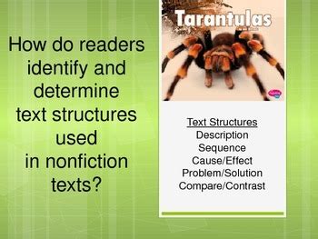 Text Structures Powerpoint By Jill Varna Teachers Pay Teachers