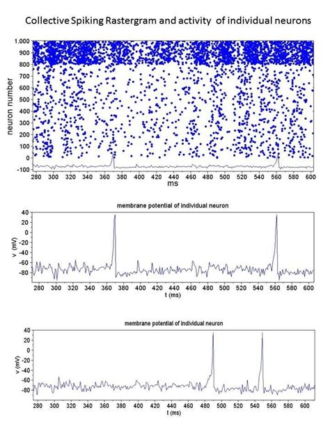 Collective Spiking Rastergram And Individual Neuron Activity Produced