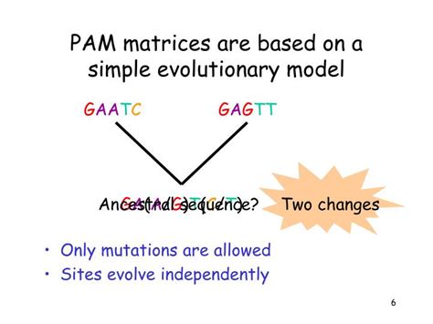 Ppt Alignment Iii Pam Matrices Powerpoint Presentation Id 435017
