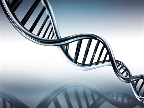 Kmd Bioscience C Terminal Protein Sequencing By Kmd Bioscience Sep 2024 Medium