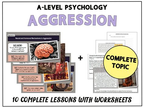 A Level Psychology Aggression [complete Topic] Teaching Resources