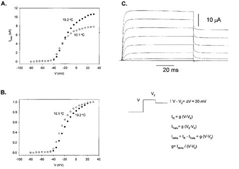 Conductance G Versus Voltage V Curve A G V Curves Obtained At