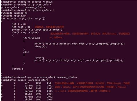 进程：fork函数 fork 和getpid 两者的值为什么不一样 csdn博客